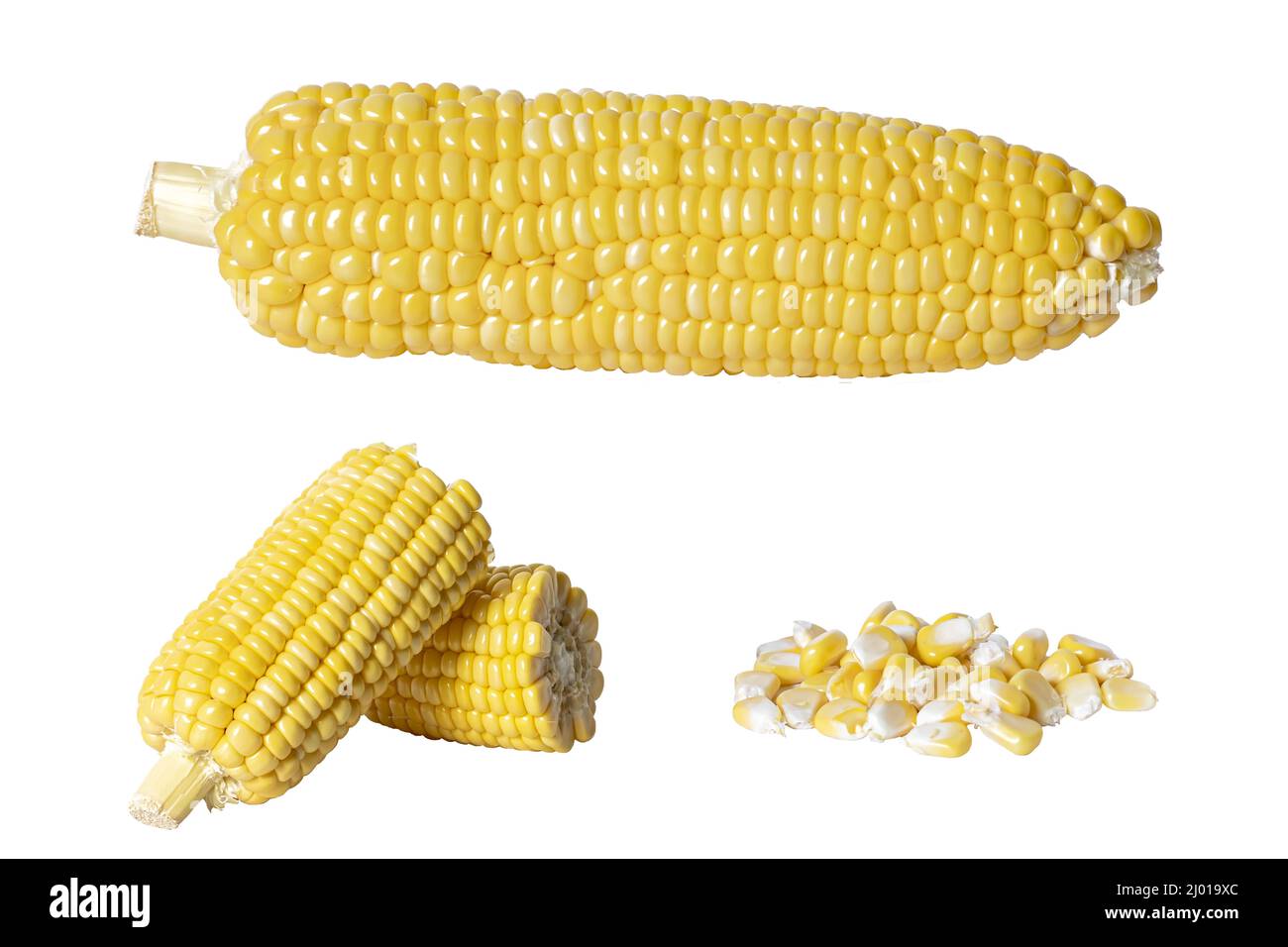 Fresh cut corn cobs Cut Out Stock Images & Pictures - Alamy