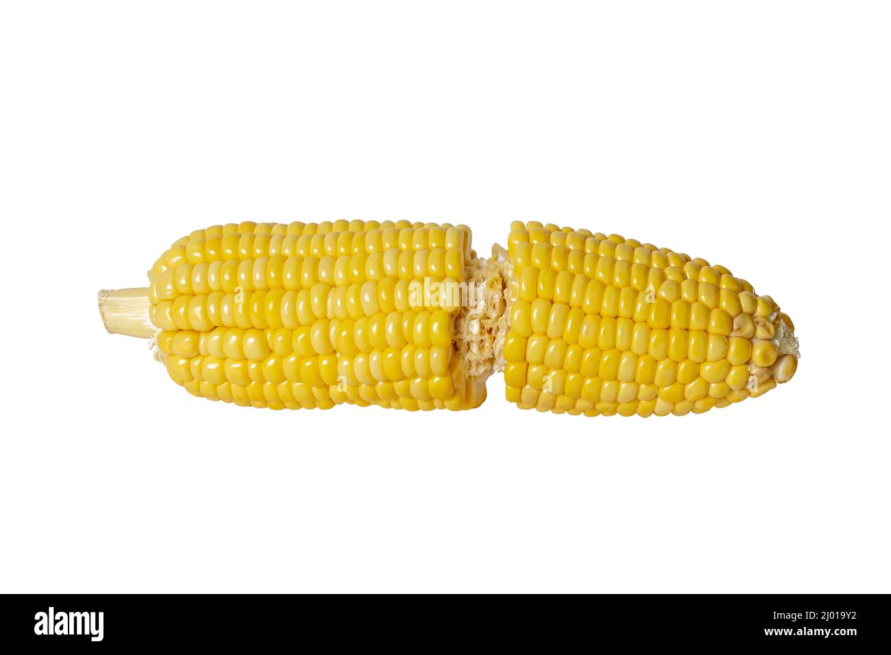 Close-up shot of a corn cob isolated on a white background Stock Photo ...
