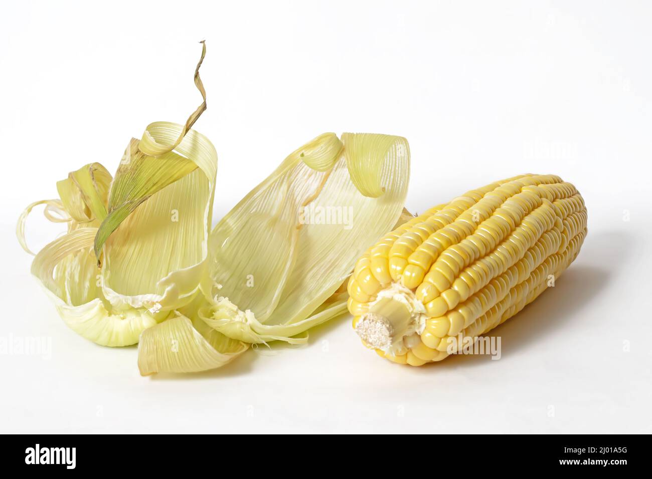 Closeup of sweetcorn on a white background Stock Photo - Alamy