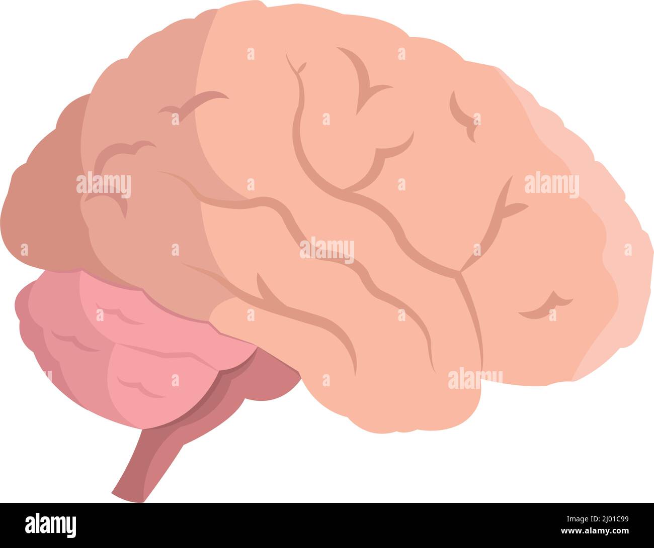 Isolated human brain icon flat design Vector Stock Vector Image & Art ...