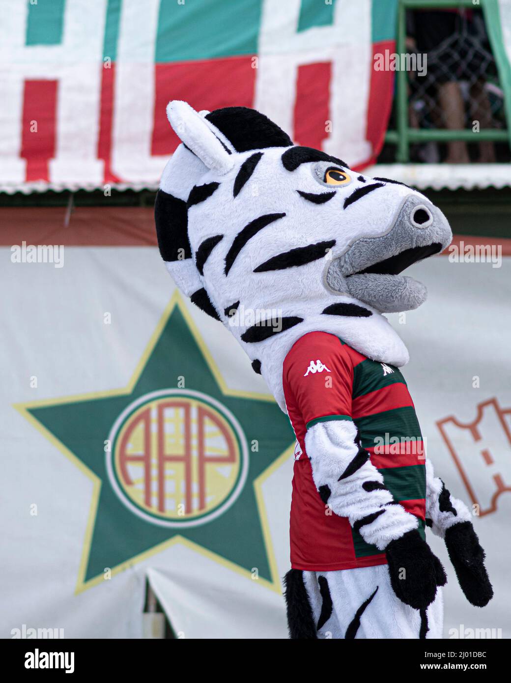 Portuguese mascot hi-res stock photography and images - Alamy
