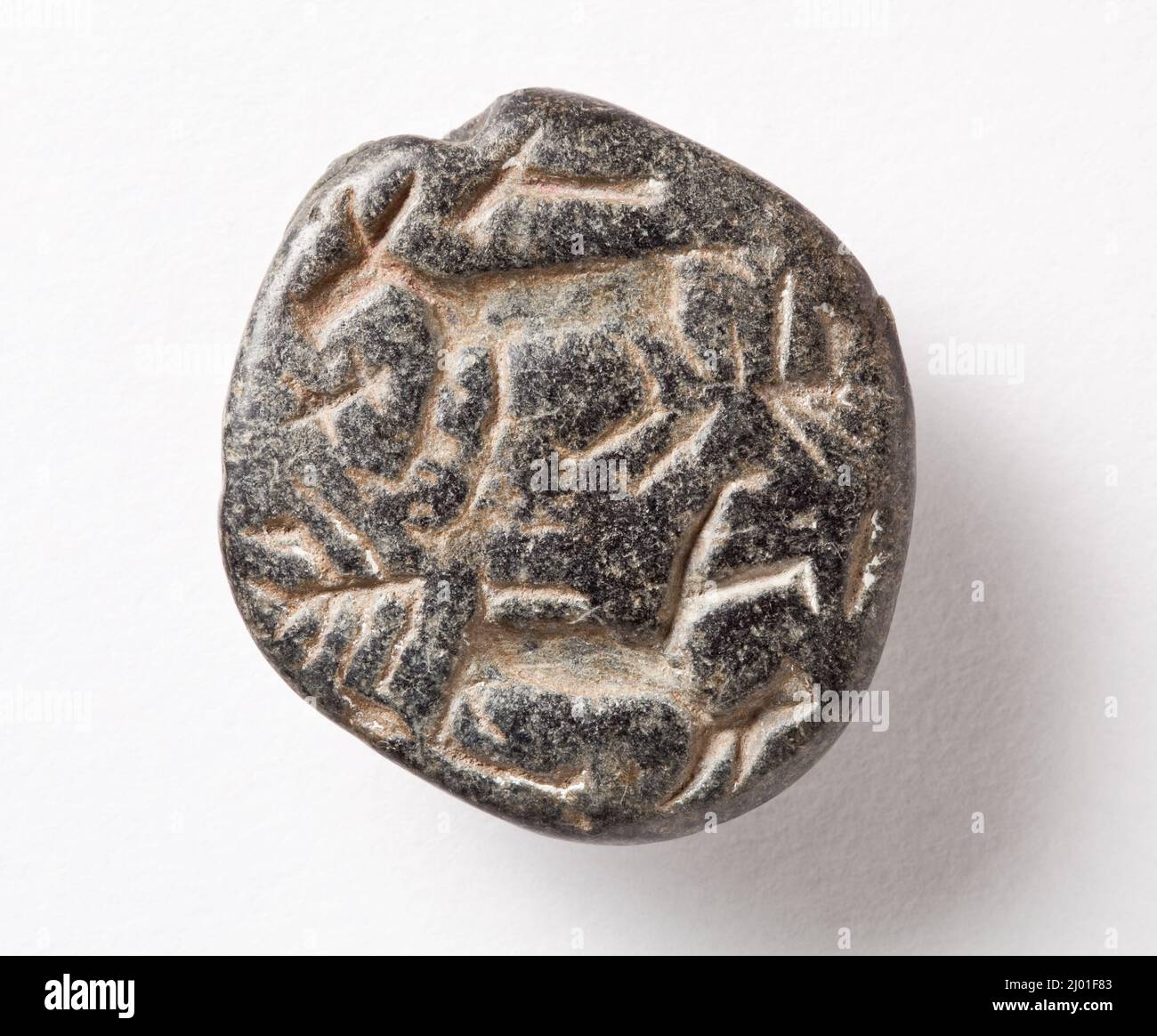 Serpentine shaped hi-res stock photography and images - Alamy