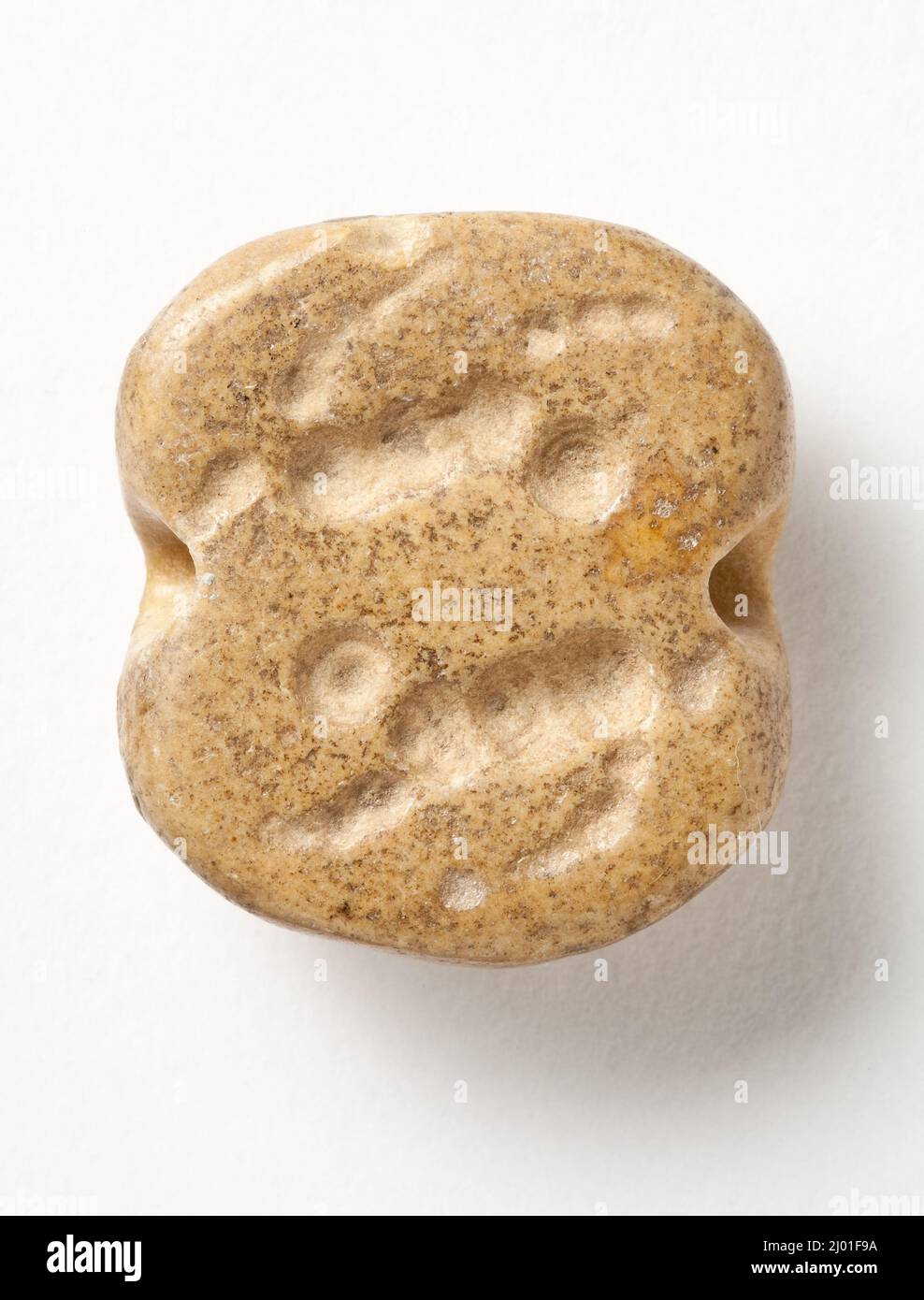 Stamp Seal, Hemispheroid. Iran or Mesopotamia, about 3000 B.C.. Tools ...