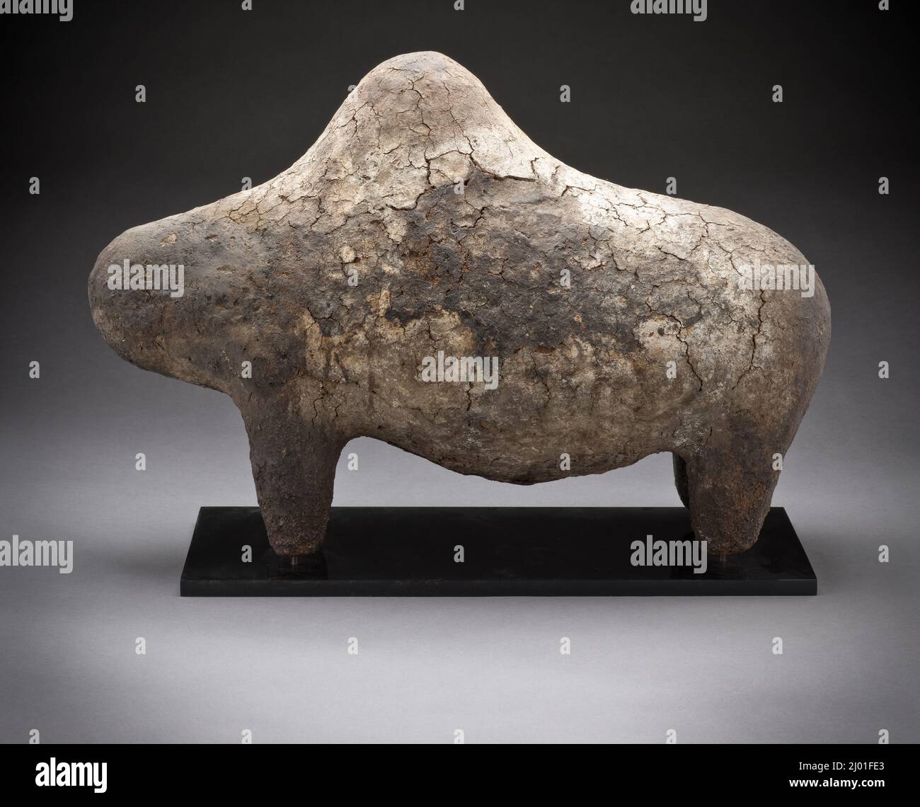 Blood bark hi-res stock photography and images - Alamy