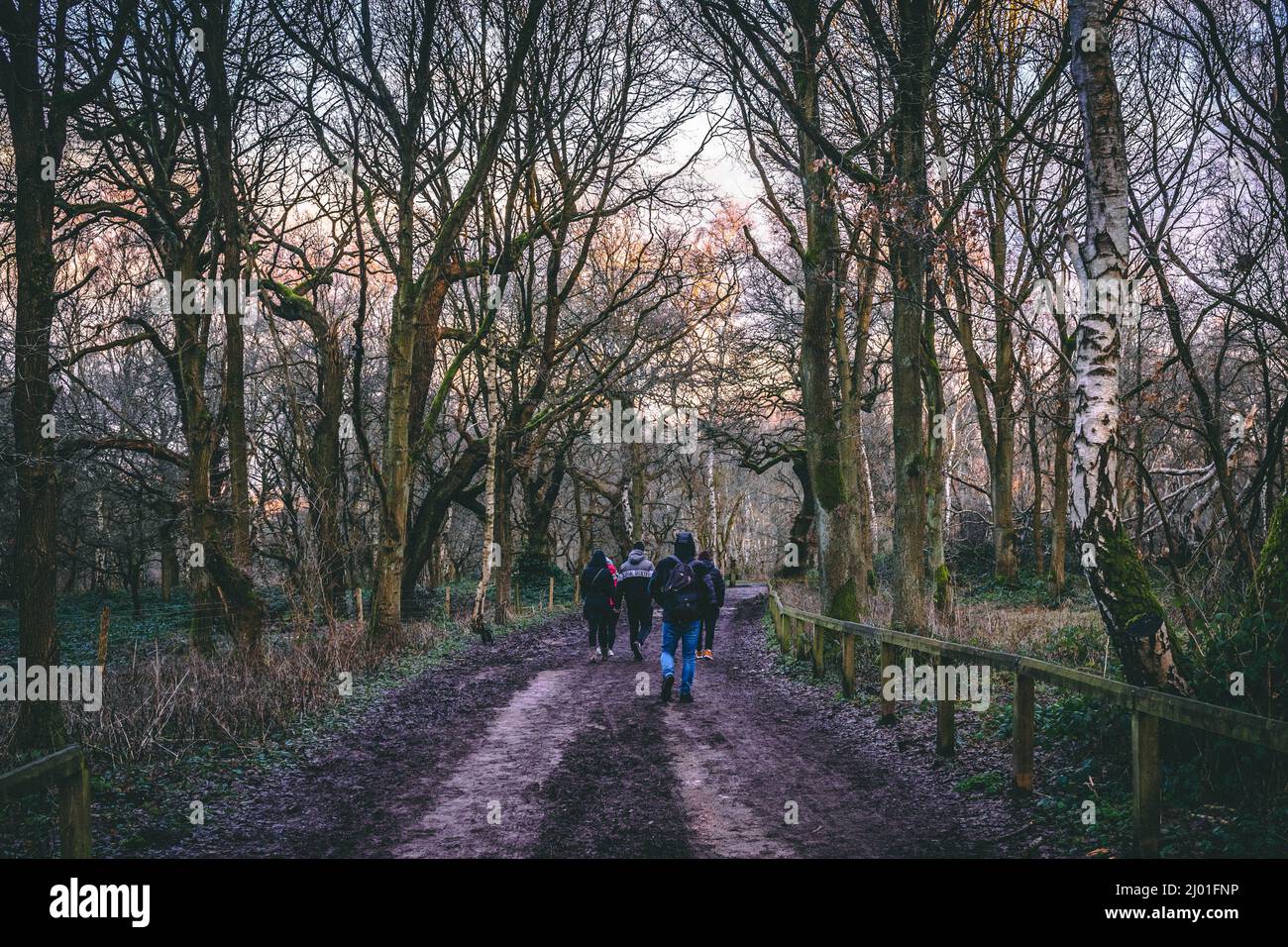 Closeup of a group of people walking in Robin hood forest, England, UK ...