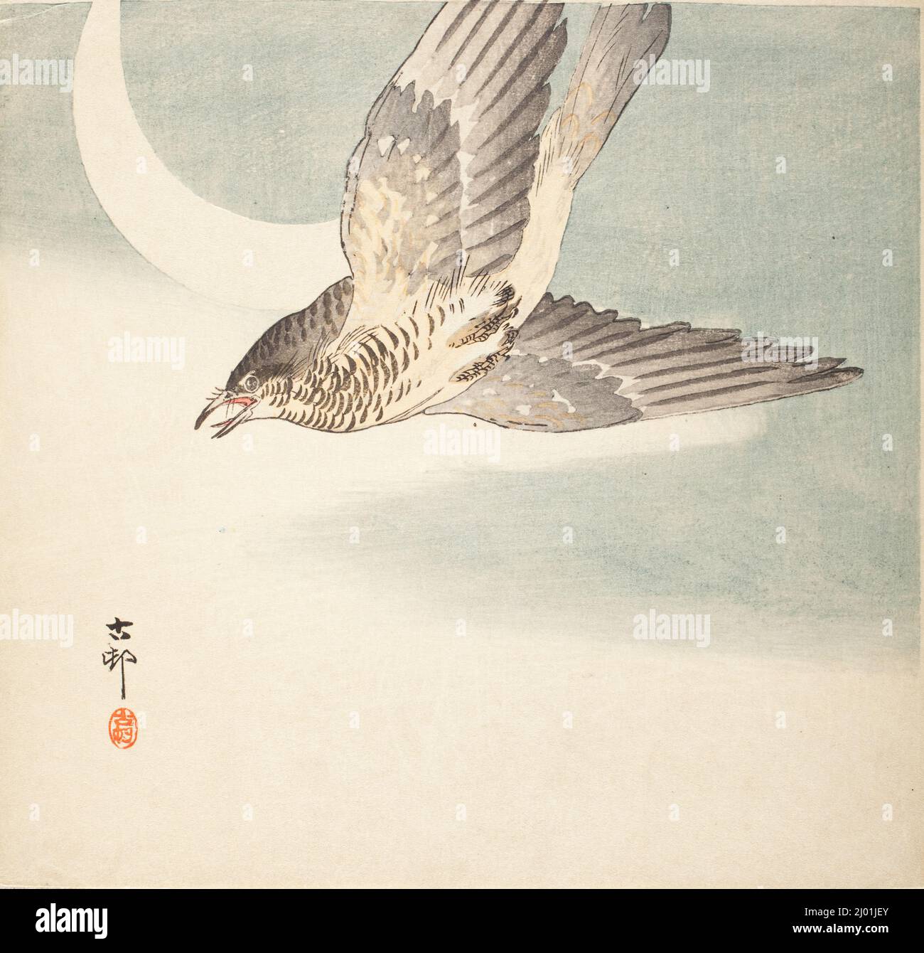 Japanese Cuckoo with Moon. Ohara Shōson (Japan, 1877-1945). circa 1900 ...
