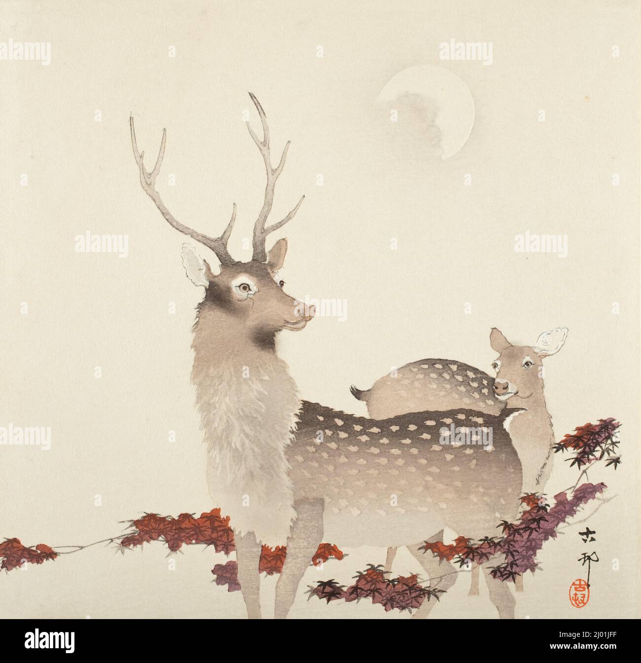 Deer and Moon. Ohara Shōson (Japan, 1877-1945). circa 1900. Books ...