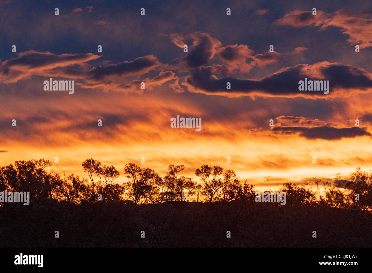 Spectacular fiery sunset in the Australian Outback, Western Australia ...