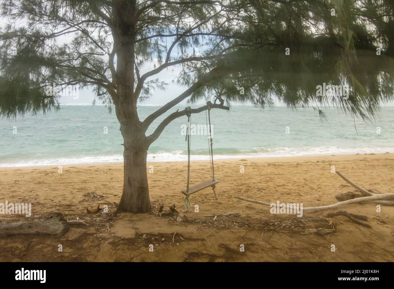 A rope swing along the beach Stock Photo - Alamy