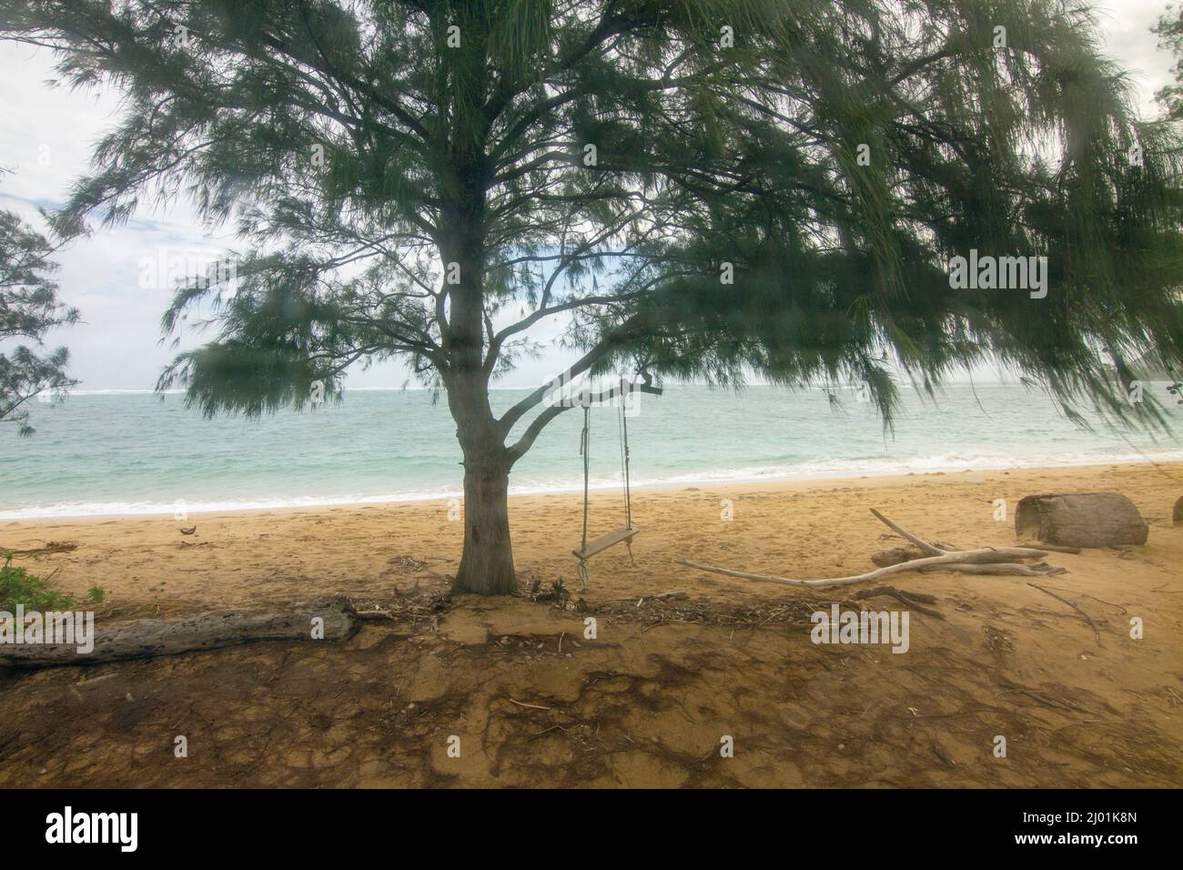 A rope swing along the beach Stock Photo - Alamy