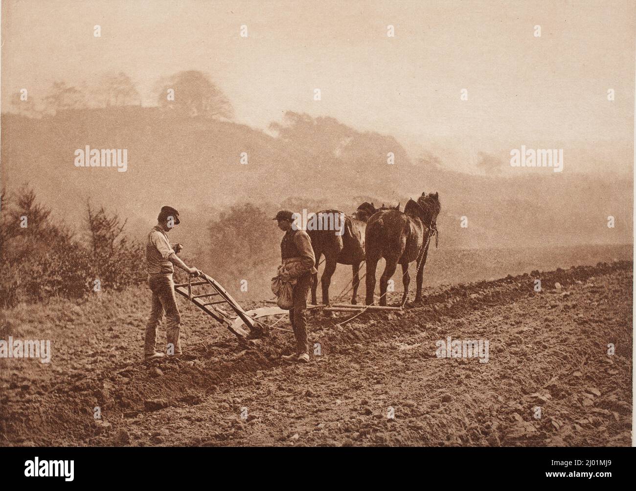 Dinnertime. Frank Meadow Sutcliffe (England, 1853-1941). England, 1889 ...