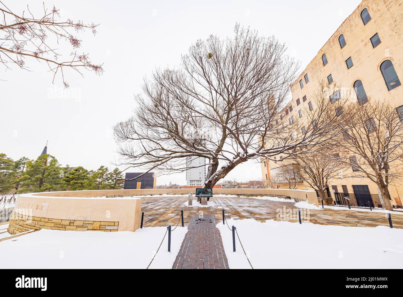 Overcast view of a snowy garden with Survival Tree of Oklahoma City ...