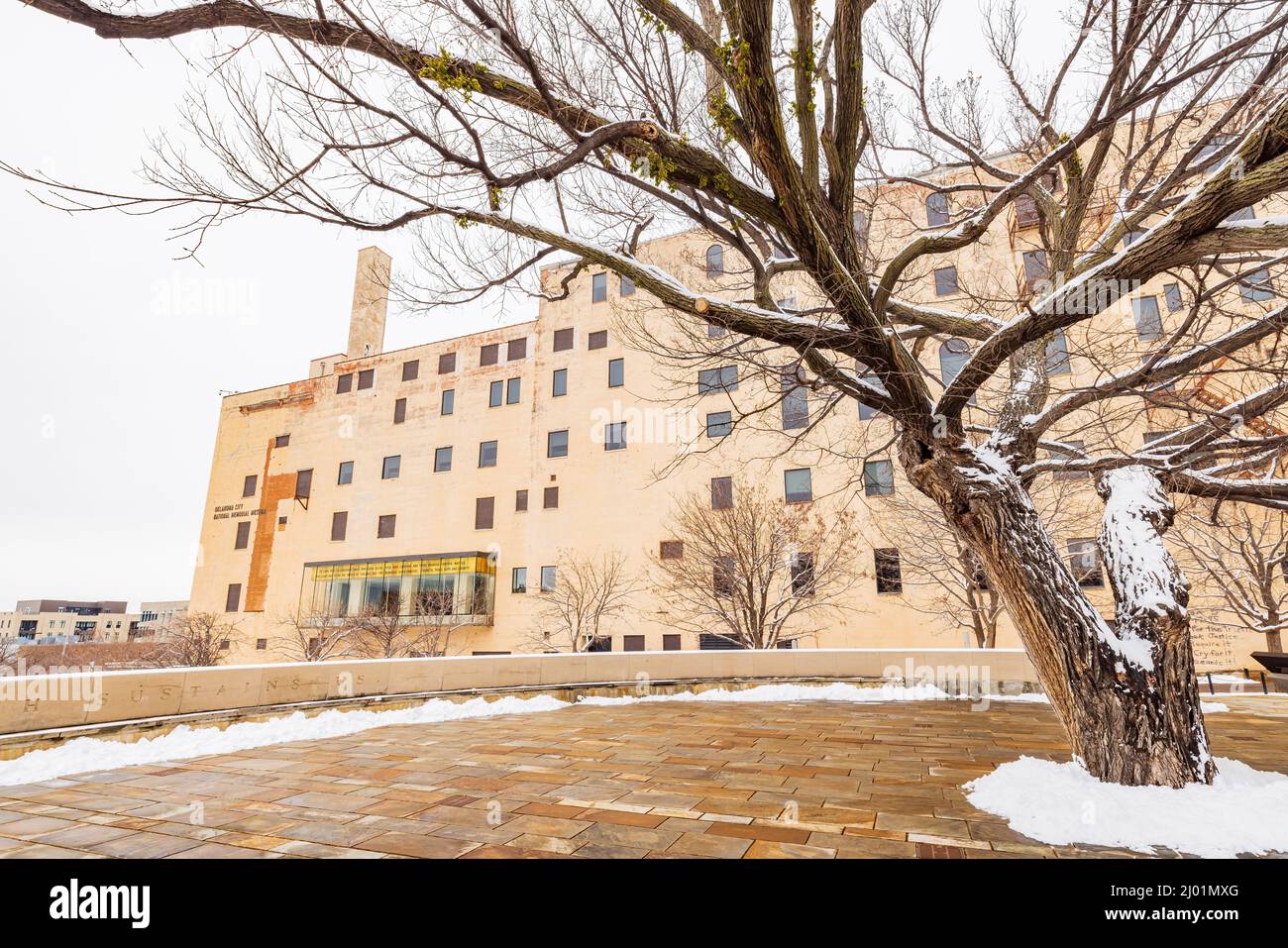 Overcast view of a snowy garden with Survival Tree of Oklahoma City ...
