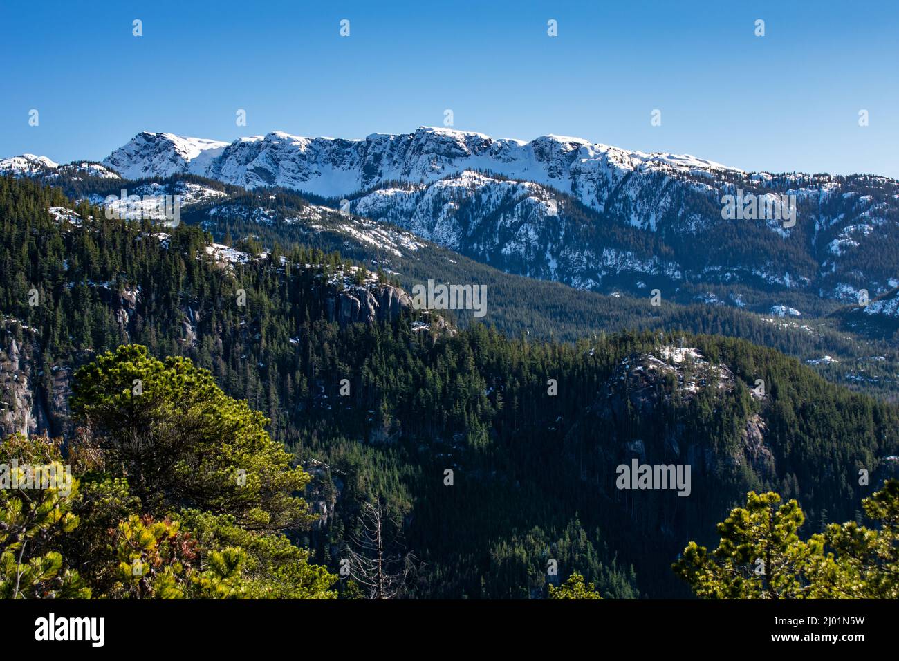 Mountain ridge with dense forest, colourful shrubbery, and steep cliffs ...
