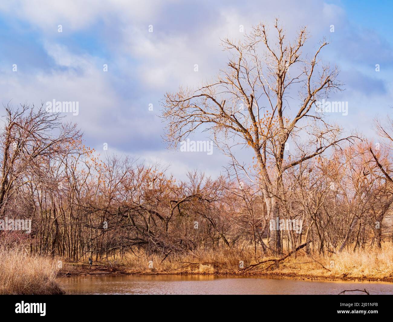 Sunny nature landscape of Bluff Creek Park at Oklahoma Stock Photo - Alamy