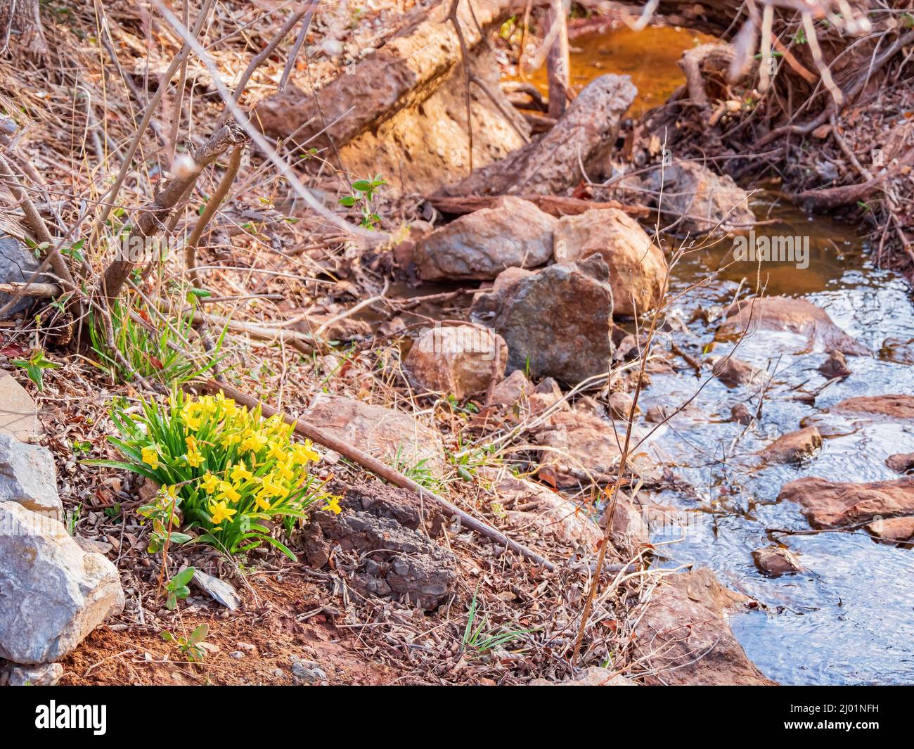 Sunny nature landscape of Bluff Creek Park at Oklahoma Stock Photo - Alamy