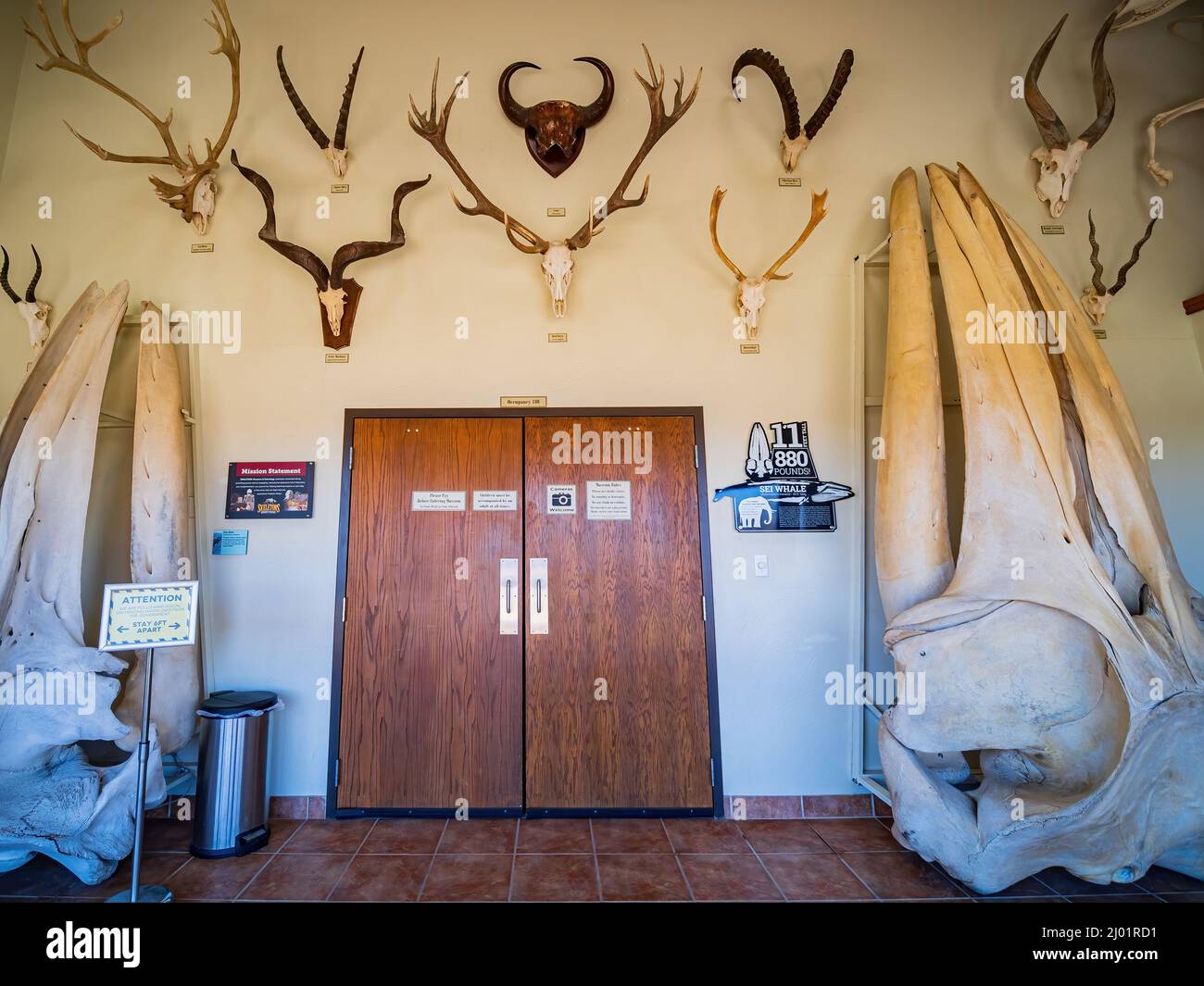 Oklahoma, MAR 3 2022 - Interior view of the Museum of Osteology Stock ...