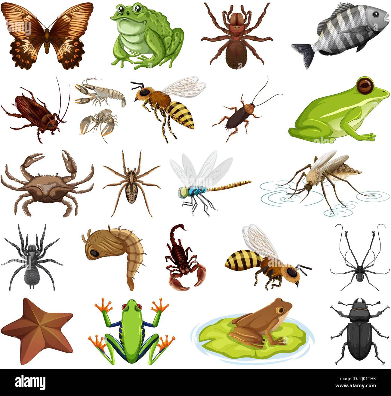 Different kinds of insects and animals on white background illustration ...