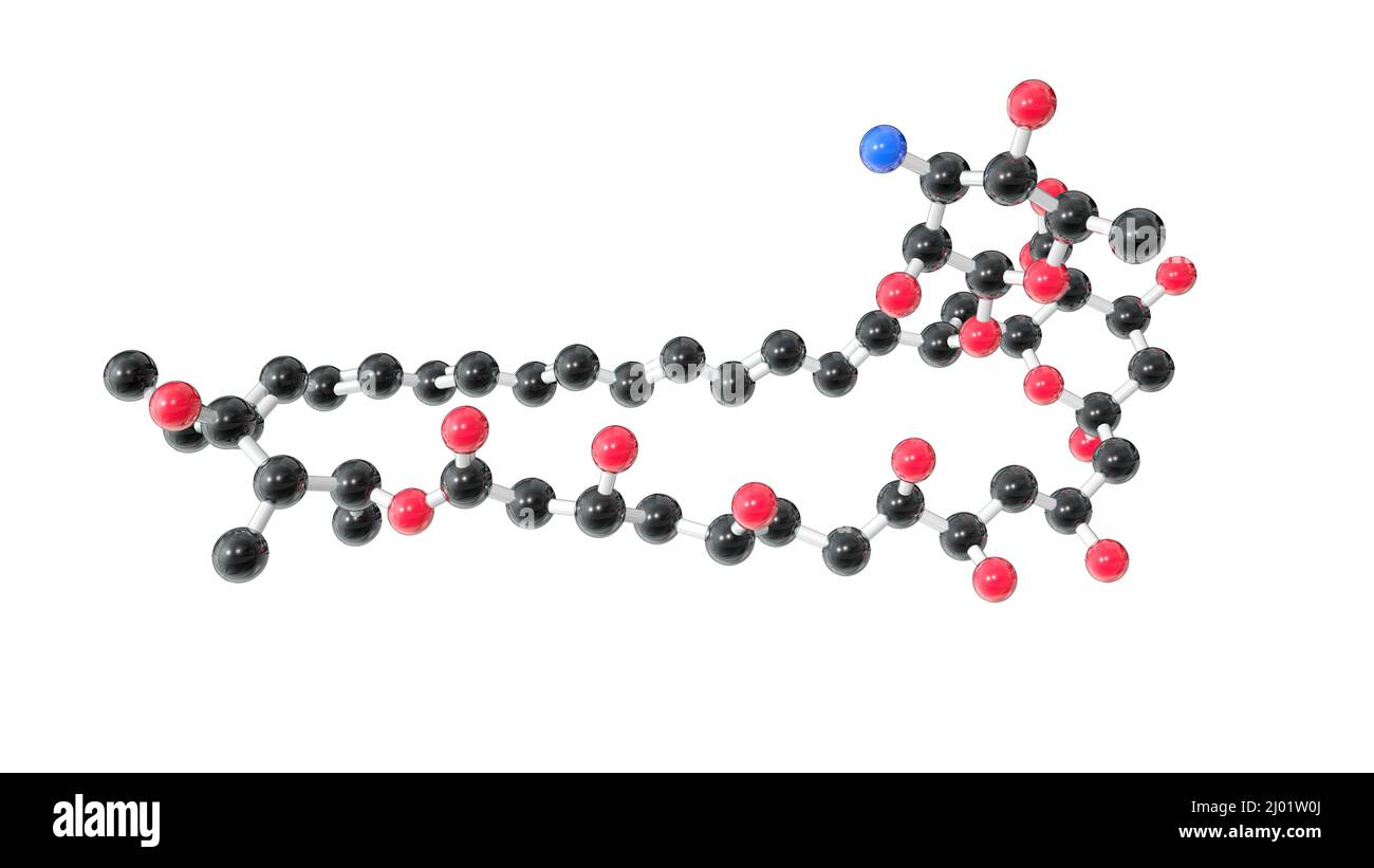 Amphotericin B antifungal drug, molecular model Stock Photo - Alamy