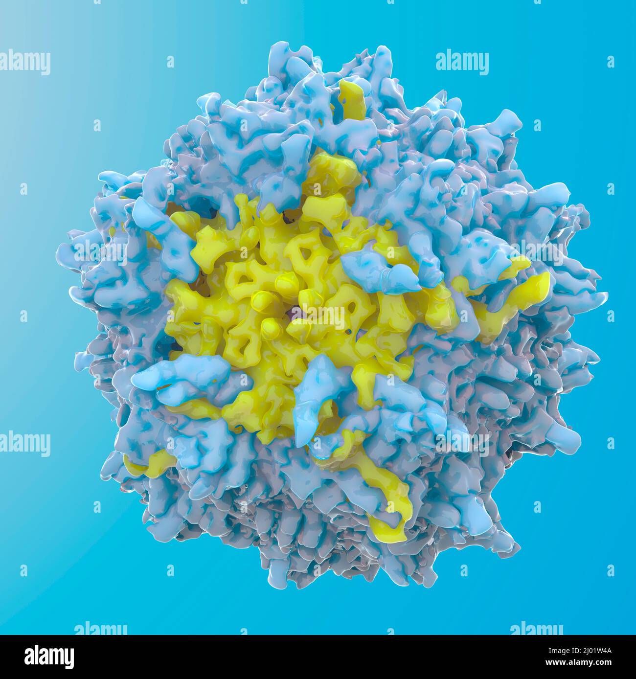 Adeno-associated virus 9, illustration Stock Photo - Alamy