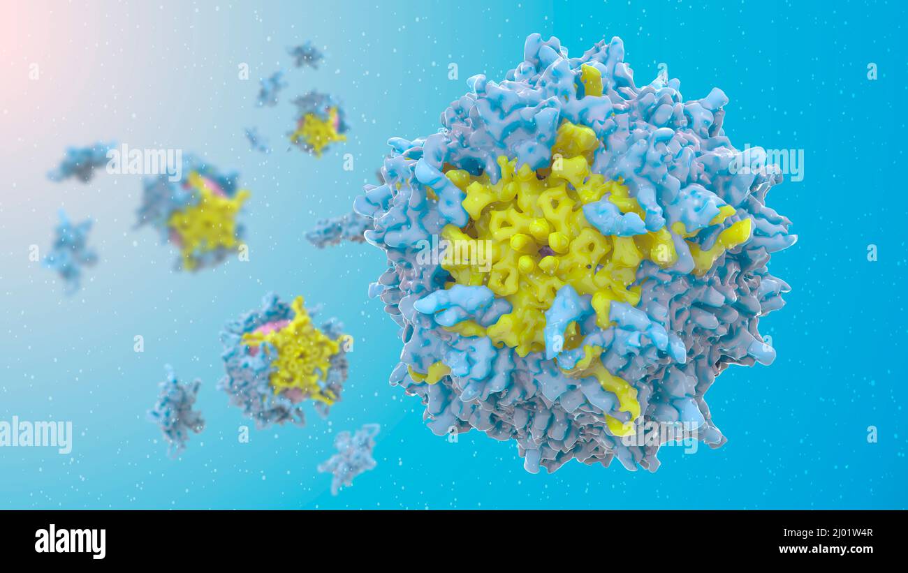 Adeno-associated virus 9, illustration Stock Photo - Alamy