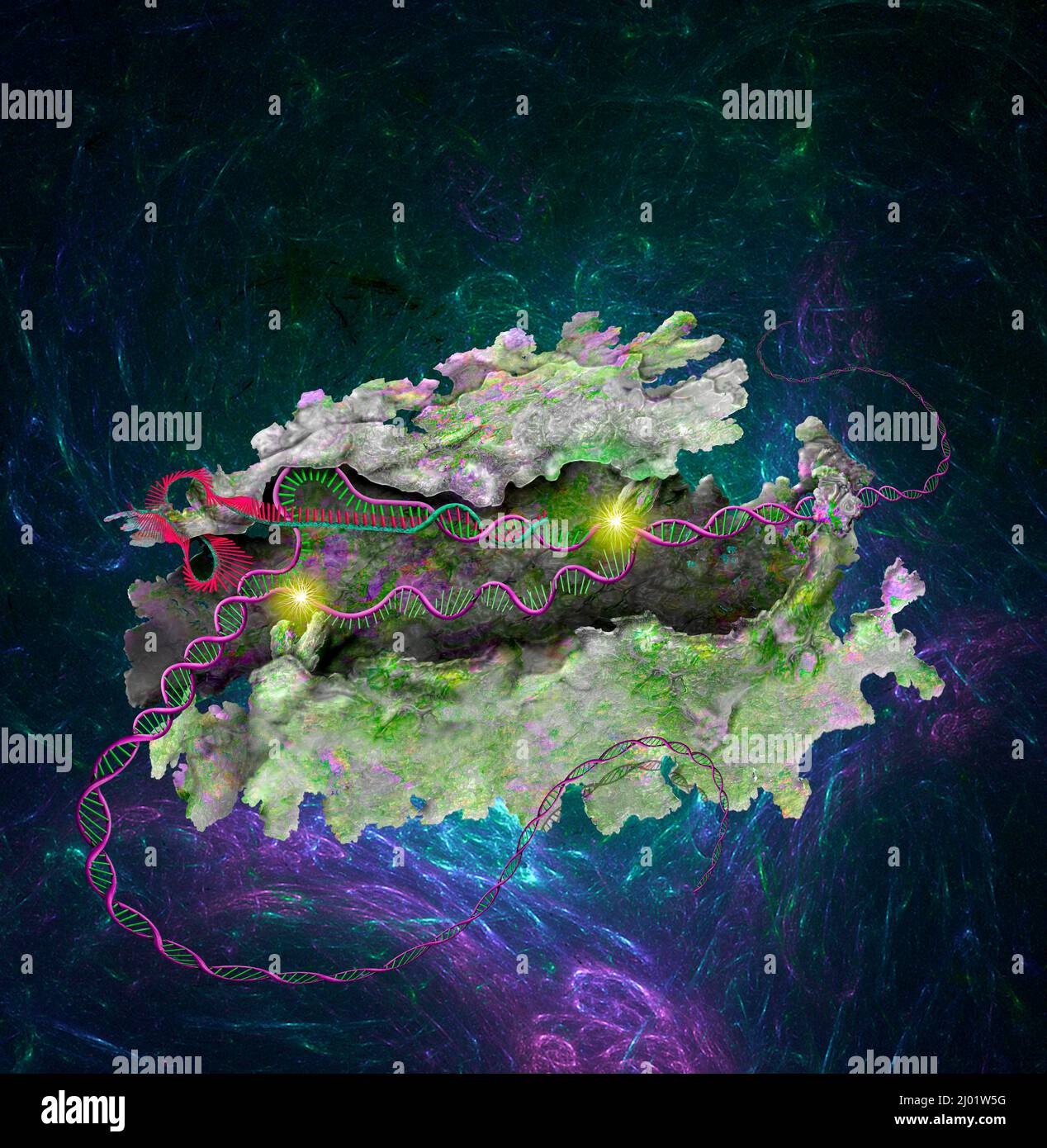 CRISPR Cas12a protein, illustration Stock Photo - Alamy