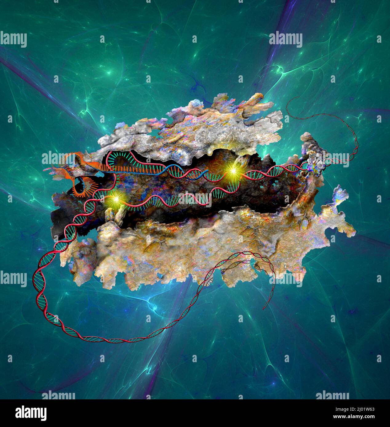 CRISPR Cas12a protein, illustration Stock Photo - Alamy