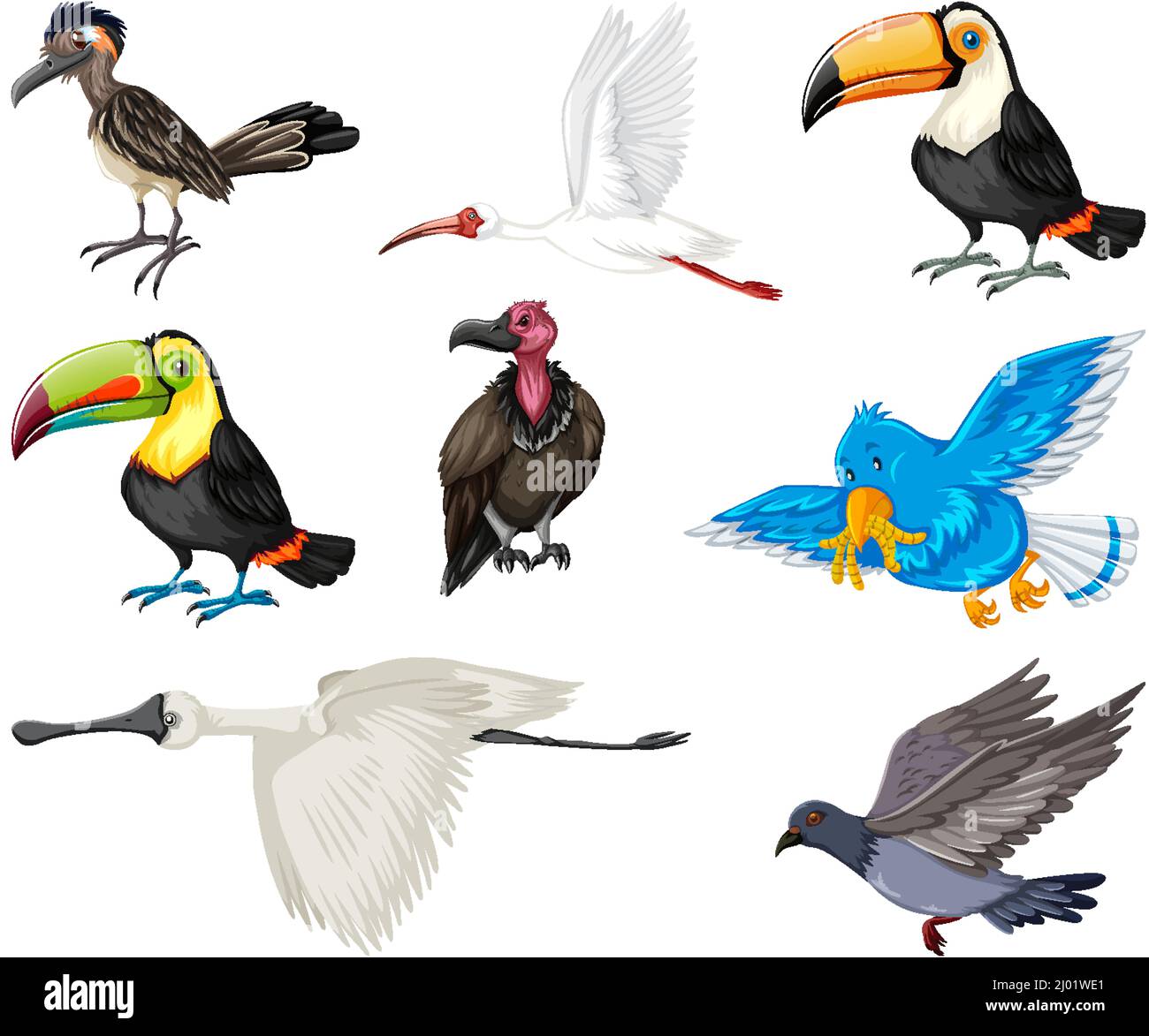 Different kinds of birds collection illustration Stock Vector Image ...