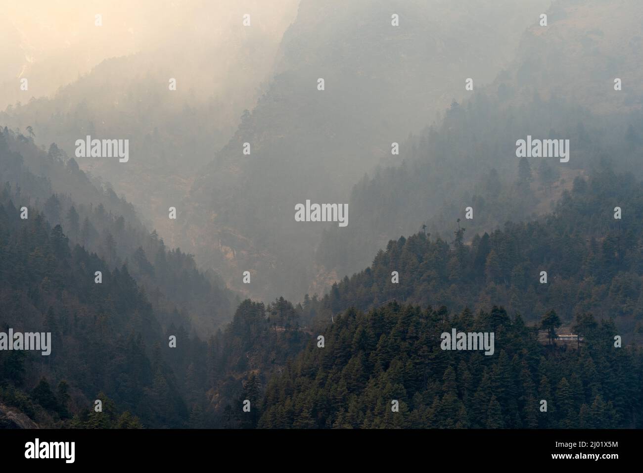 Nepal forest fires hi-res stock photography and images - Alamy
