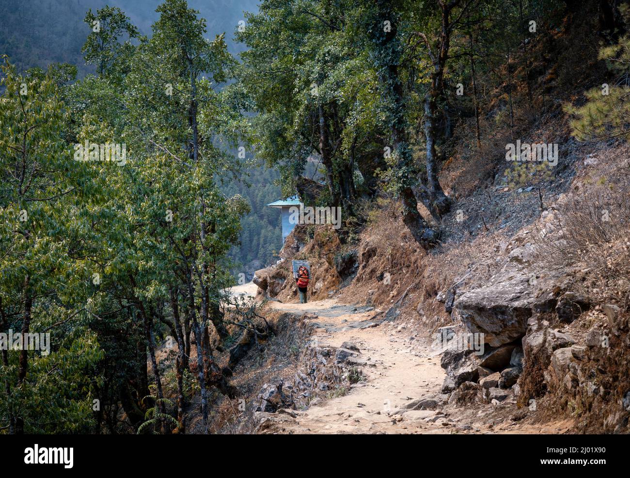 A porter carrying a heavy load on a mountain trail in the Everest ...