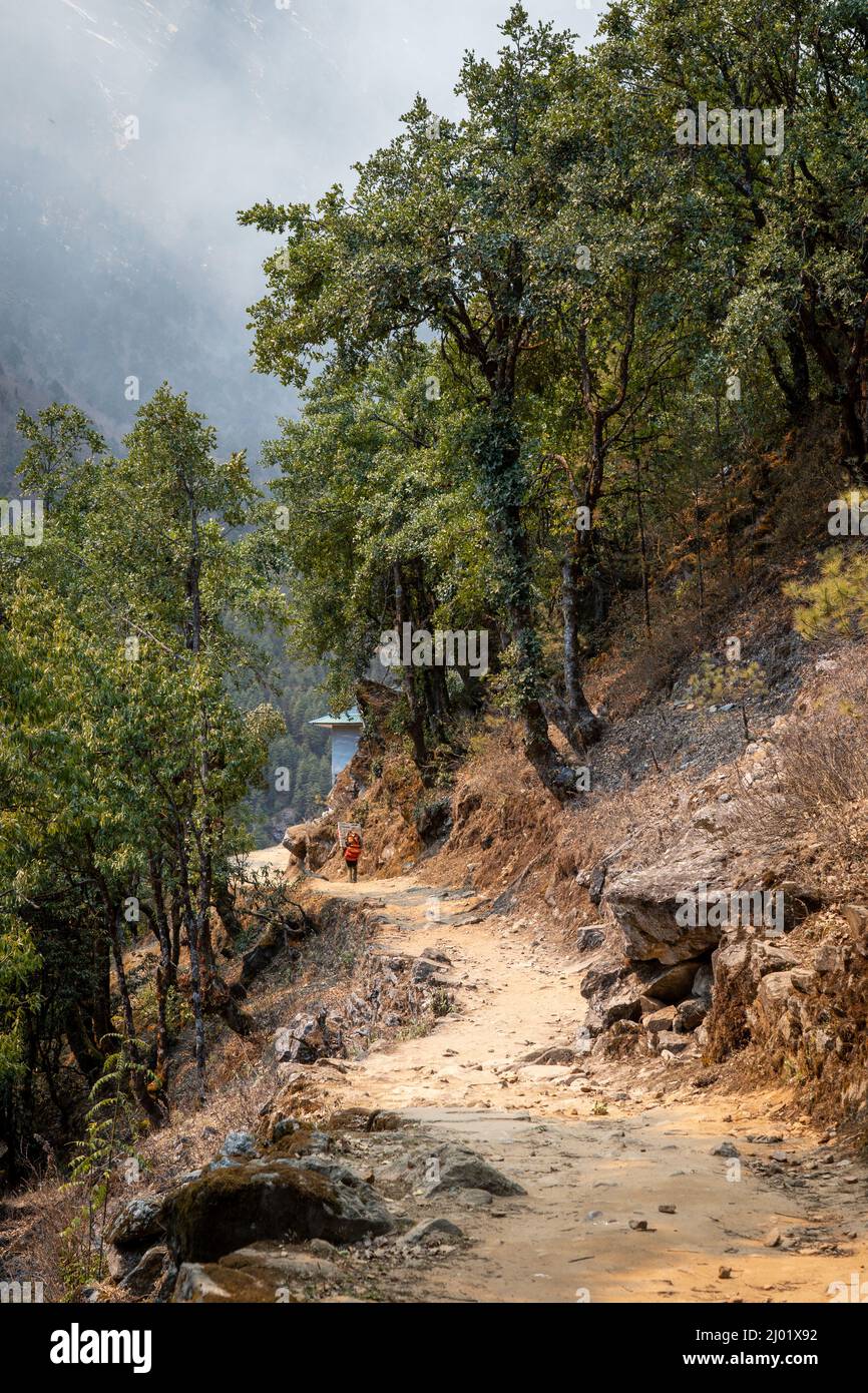 A porter carrying a heavy load on a mountain trail in the Everest ...