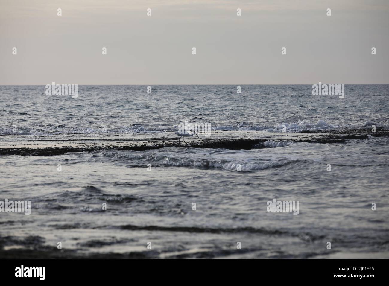 low waves on the shore of a beach High quality Stock Photo - Alamy