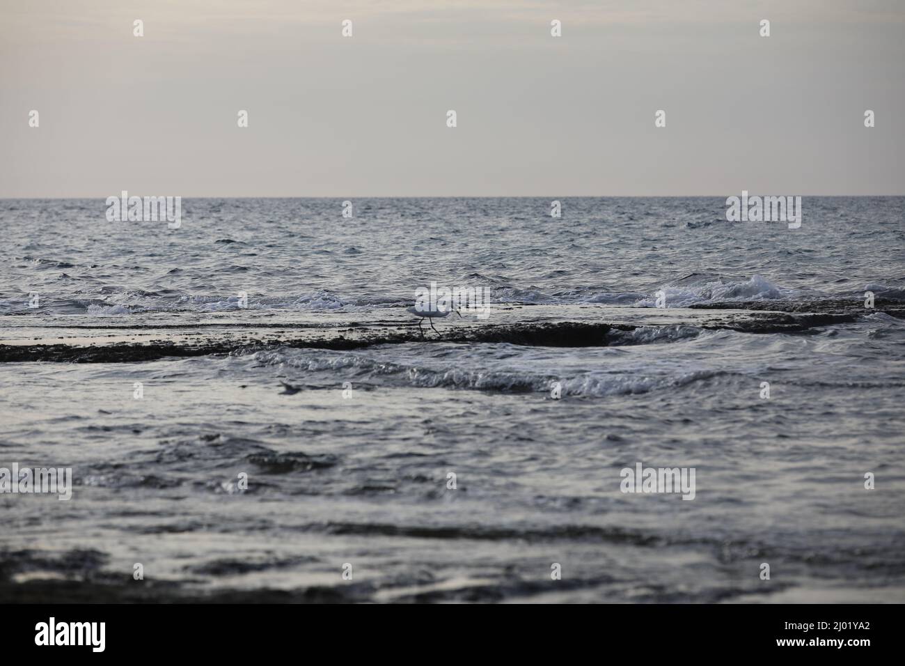 low waves on the shore of a beach High quality Stock Photo - Alamy