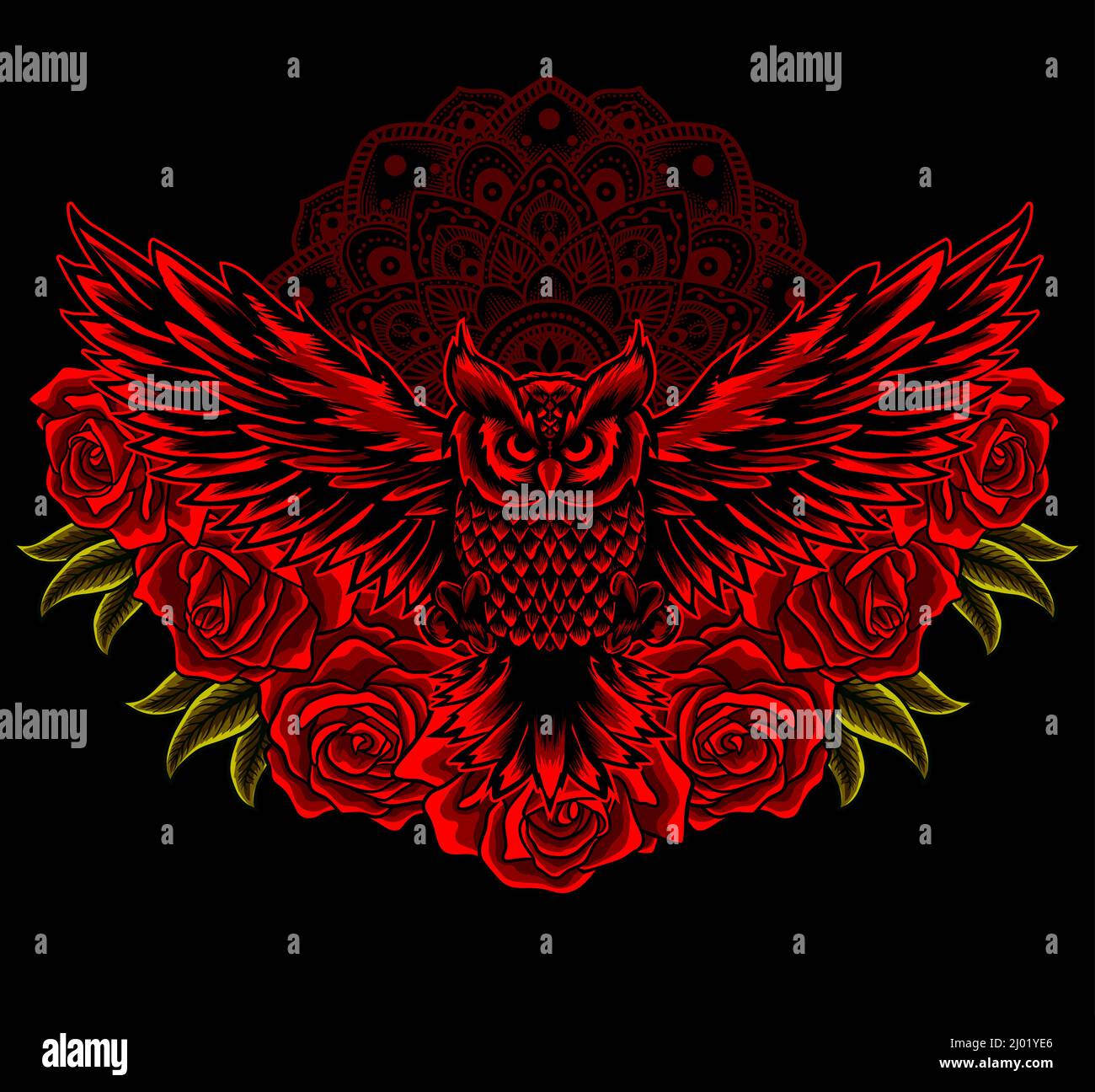 illustration owl bird and rose flower Stock Vector Image & Art - Alamy