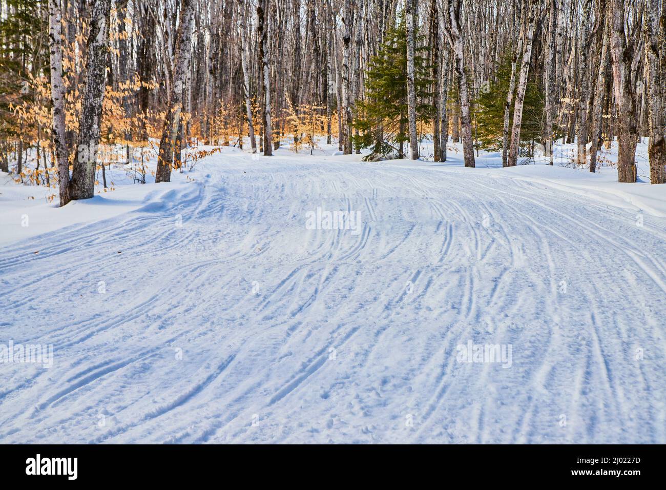 Winter forest snow road with waves of thick snow Stock Photo - Alamy