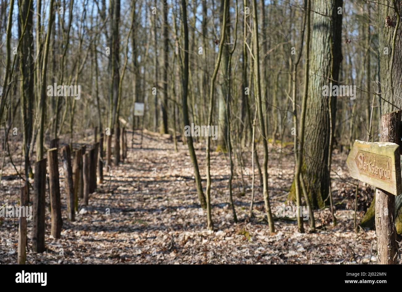 14 March 2022, Brandenburg, Steinhöfel: A wooden sign shows the way to ...