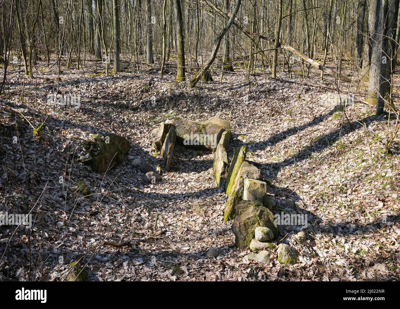 14 March 2022, Brandenburg, Steinhöfel: A stone box grave can be found ...