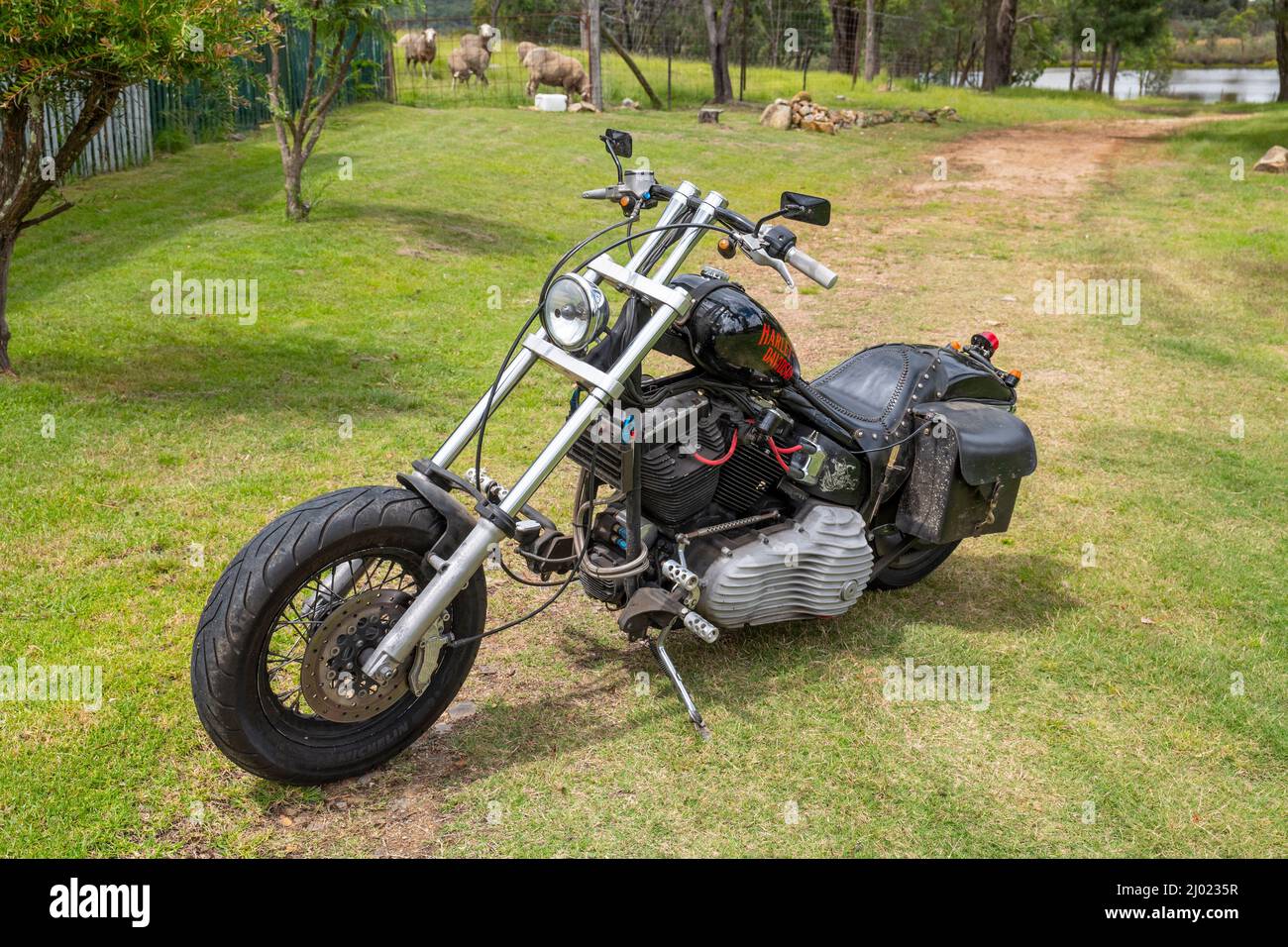 2006 FXS Harley Davidson custom motorcycle chopper Stock Photo - Alamy
