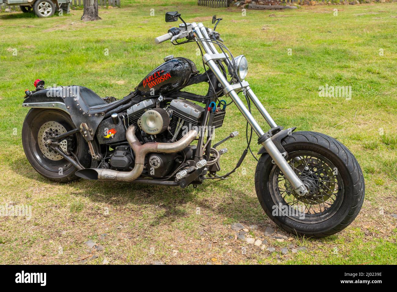 2006 FXS Harley Davidson custom motorcycle chopper Stock Photo - Alamy