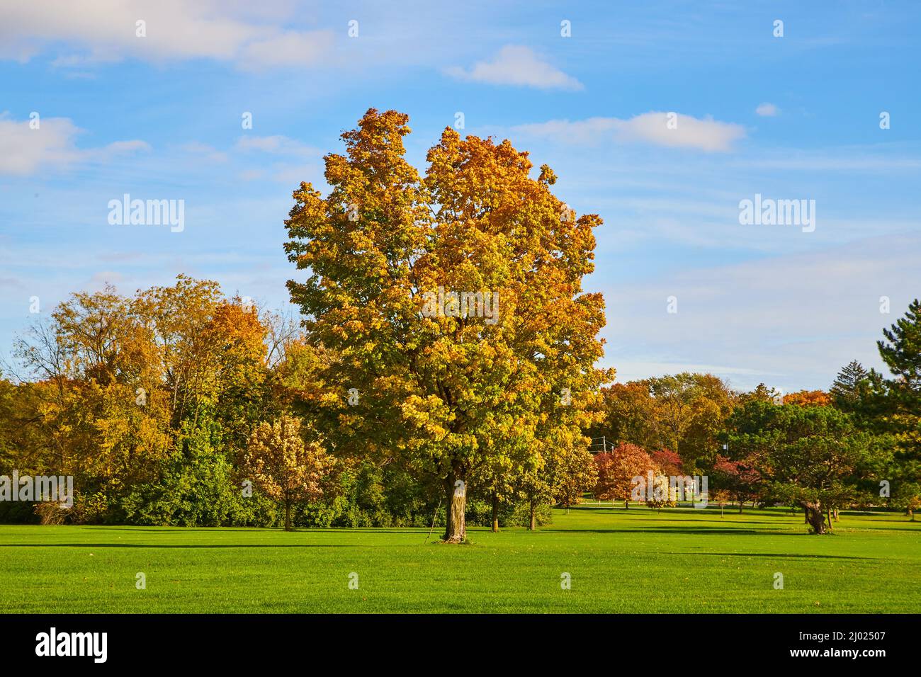 The field of clean hi-res stock photography and images - Alamy