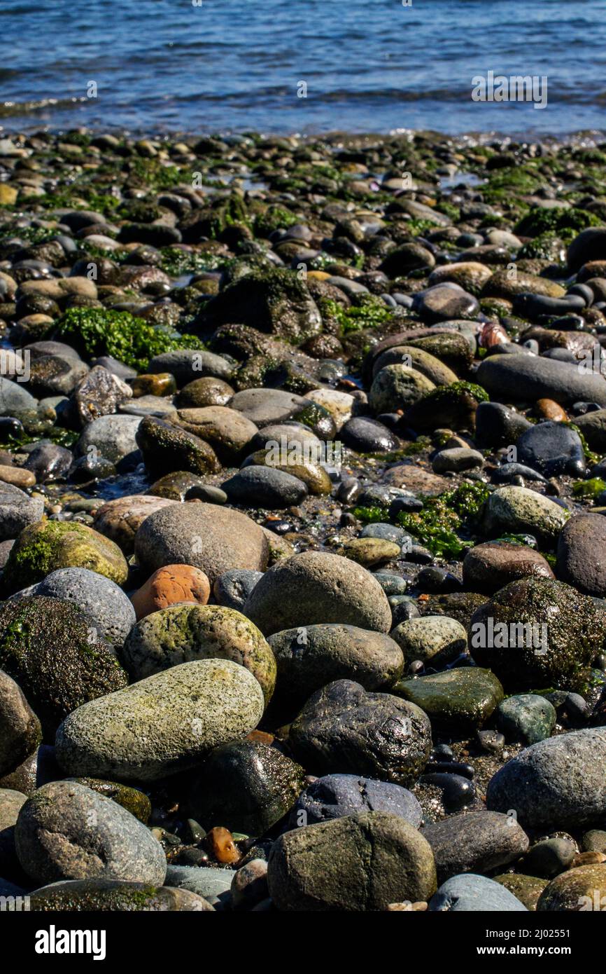 Shore rocky hi-res stock photography and images - Alamy