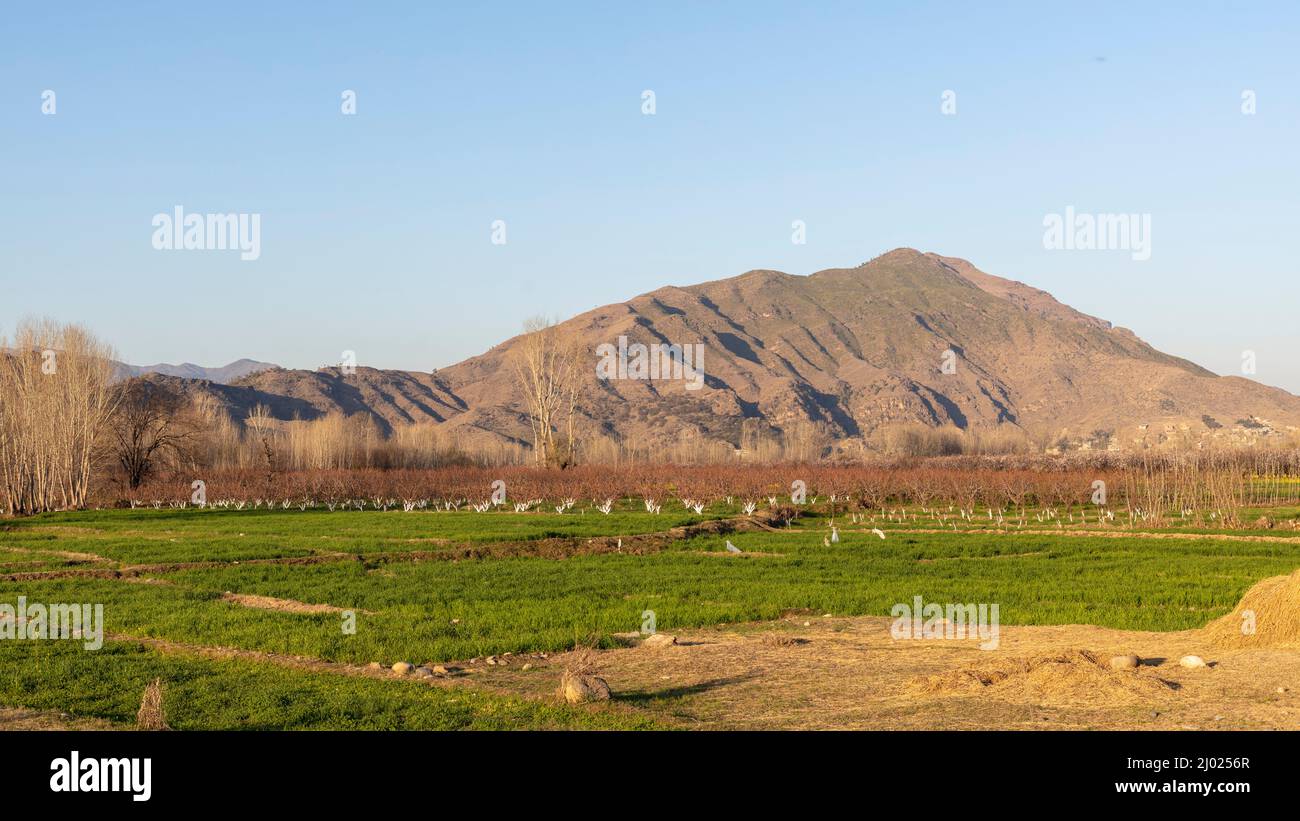 Fruit farms hi-res stock photography and images - Alamy