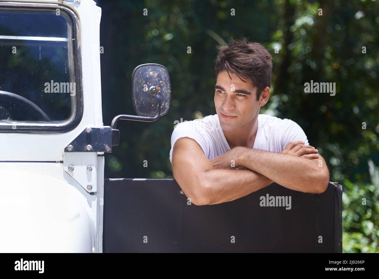 Taking one last look at the forest before heading home. A handsome ...