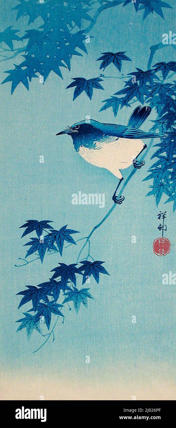 Robin on a Maple Branch. Ohara Shōson (Japan, 1877-1945). Japan, 1935 ...