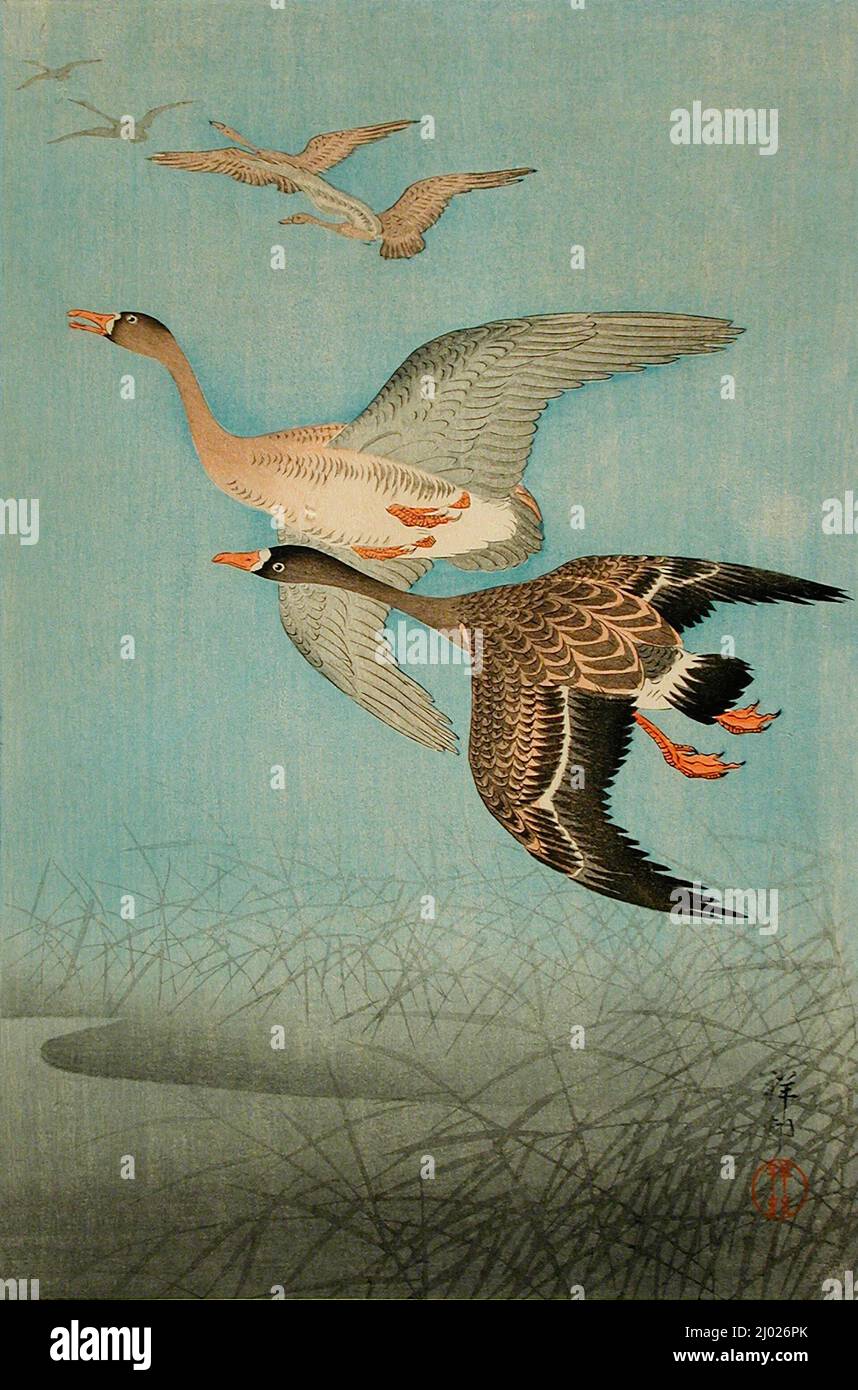 Flying Geese. Ohara Shōson (Japan, 1877-1945). Japan, 1926. Prints ...