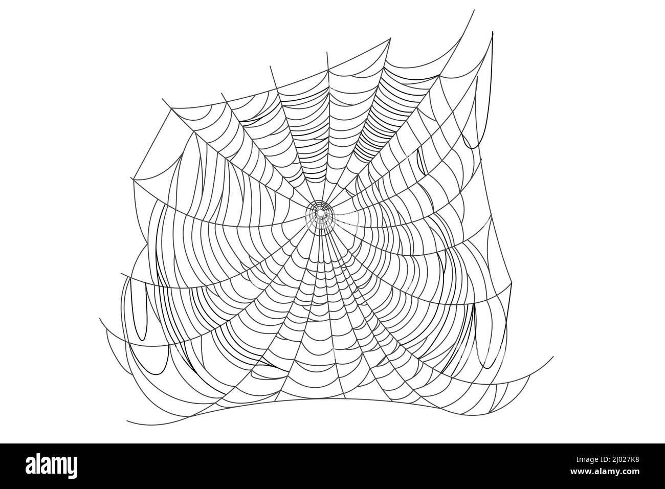 Insect ghost Black and White Stock Photos & Images - Alamy