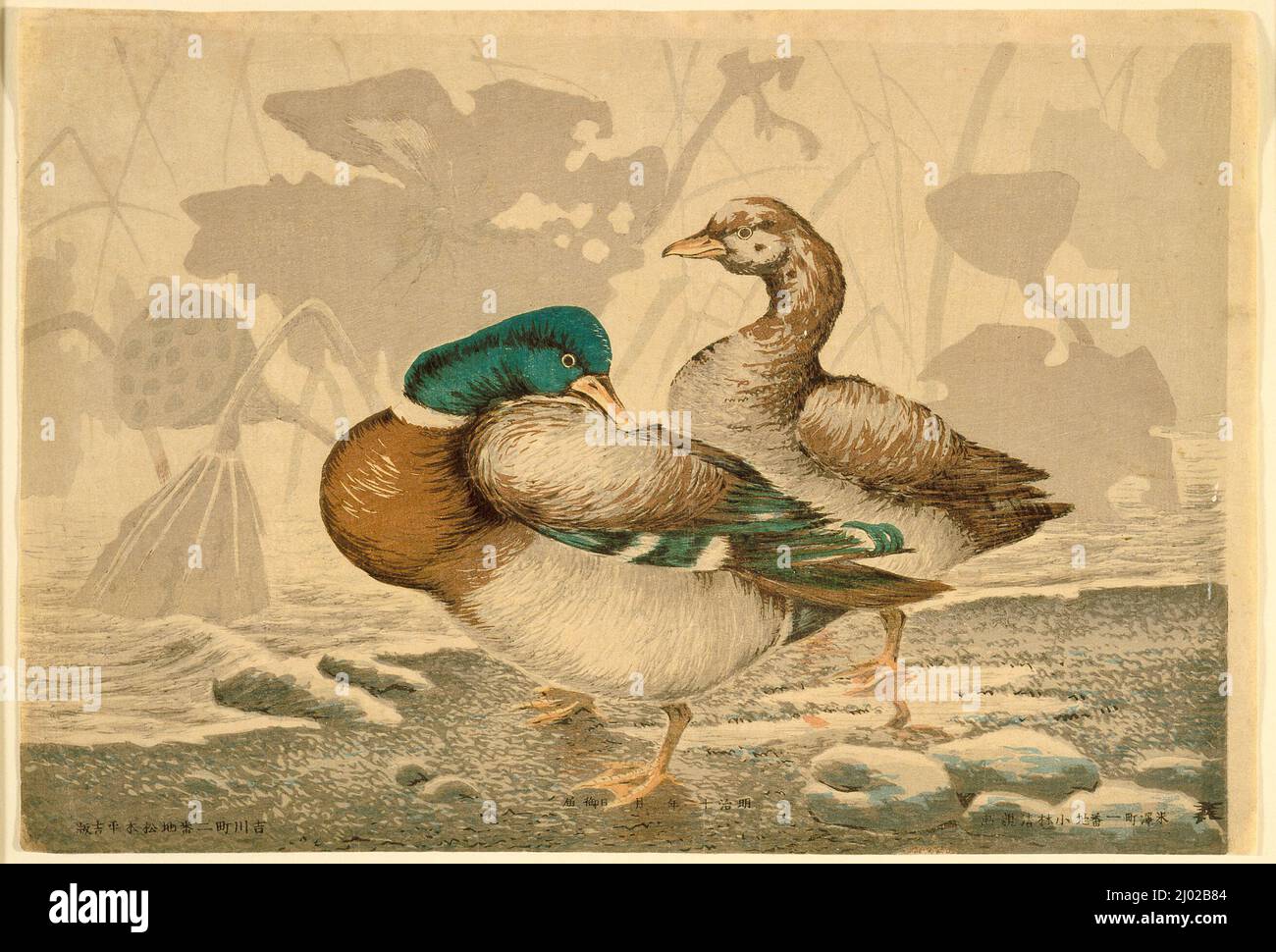 Ducks and Withered Lotus. Kobayashi Kiyochika (Japan, 1847-1915). Japan ...