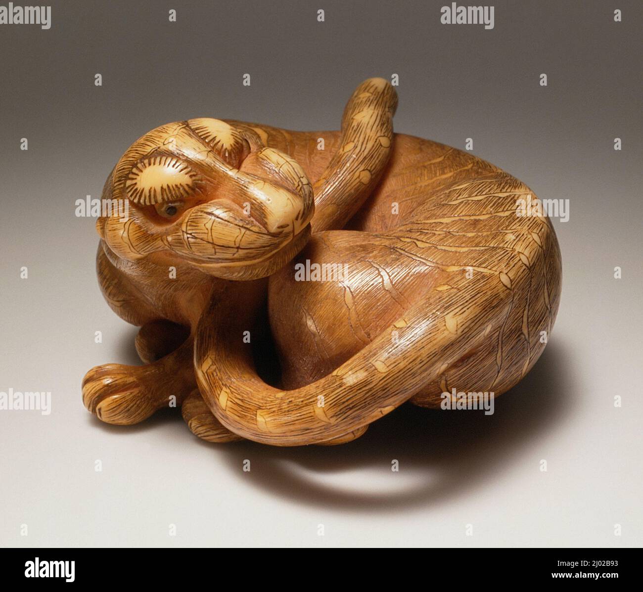 Tiger. School of Kyoto Masanao (Japan, 18th-early 19th century). Japan ...