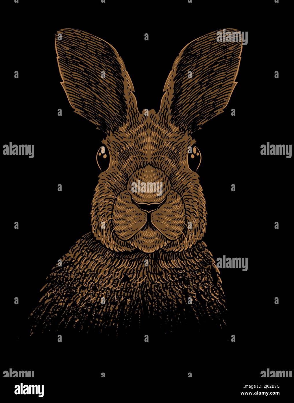 illustration rabbit with engraving style Stock Vector Image & Art - Alamy