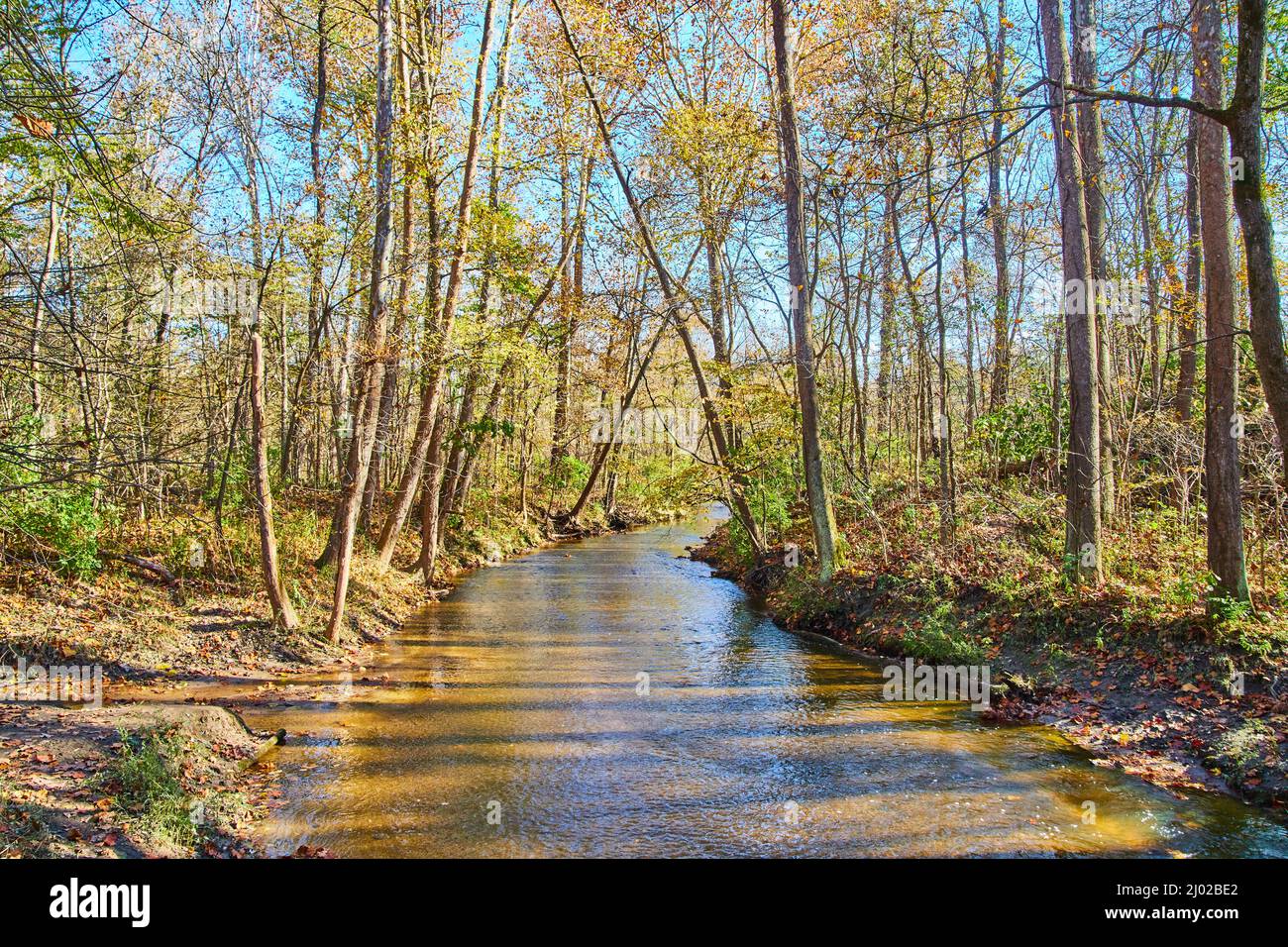 Midwest America river in forest during fall Stock Photo - Alamy